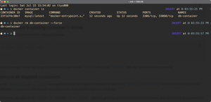 How to Run MySQL & phpMyAdmin Using Docker - Krupesh Anadkat